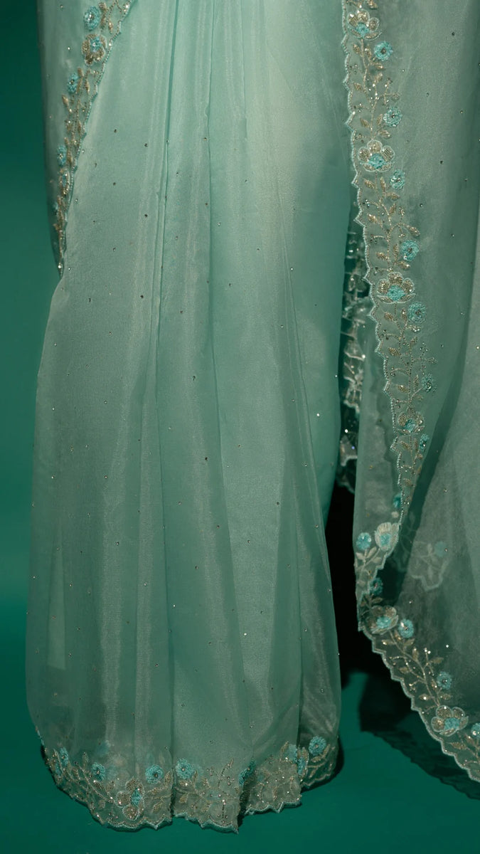 Sky Blue Hand Embroidered Saree Organza And Matching Floral Embroidere ...