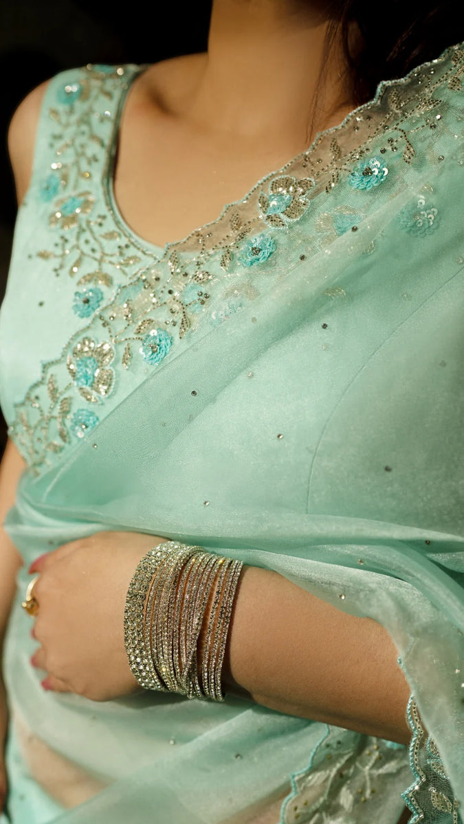 Sky Blue Hand Embroidered Saree Organza And Matching Floral Embroidere ...